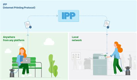Printing Over A Network You Should Be Using Ipp Printing Papercut