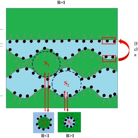 Bicontinuous Optimal Microemulsion Structure With Planar And Curve