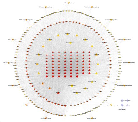 The Component Target Pathway Network Diagram Download Scientific Diagram