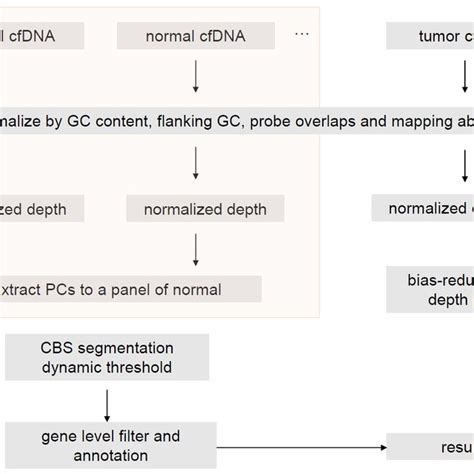 Flowchart Of The Copy Number Variation Cnv Calling Pipeline Download Scientific Diagram