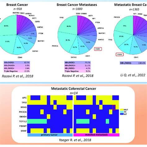 Genomic Alterations In Metastatic Breast And Colorectal Cancer A Download Scientific Diagram