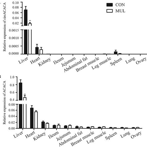 Tissue Expression Profile Analysis Of Circacaca And Its Host Gene A
