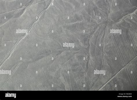 Vista Aérea De Las Líneas De Nazca Mono Geoglifo Perú Las Líneas