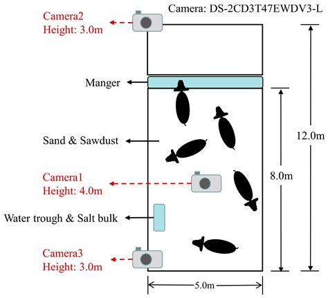 An Effective Yak Behavior Classification Model With Improved Yolo Pose