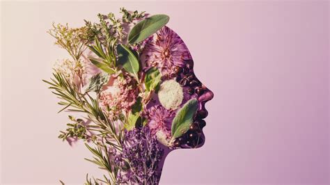 Which Herb Enhances Cognitive Function The Most Agemate