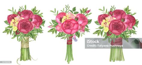 분홍색 장미와 꽃다발 녹색 잎과 가지 물과 클레 마티스 수채화 그림 0명에 대한 스톡 벡터 아트 및 기타 이미지 0명 개체 그룹 결혼식 Istock