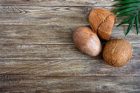 코코넛 전체 코코넛 나무 배경에 코코넛과 녹색 잎에서 껍질 큰 너트 껍질에 열대 과일 코코넛 스파 음식 사진입니다 사진 배경입니다 질감 열대 과일 스파를 복사합니다 갈색에