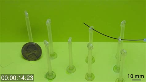 2019 Ferromagnetic Soft Continuum Robots 1 Youtube