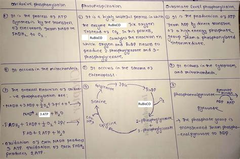 Substrate Level Phosphorylation And Oxidative Phosphorylation