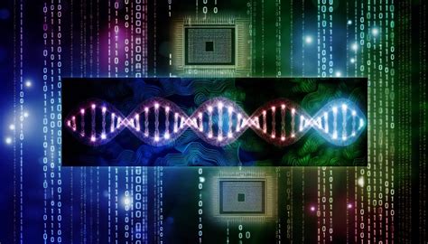 Decoding Ai A Trio Of Genetic Algorithms Blog Algorithm Examples