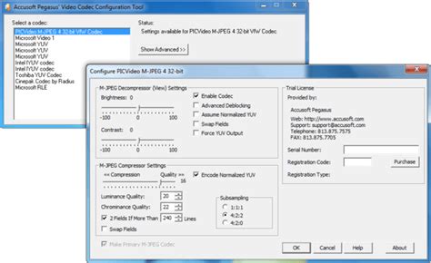 Picvideo M Jpeg Codec