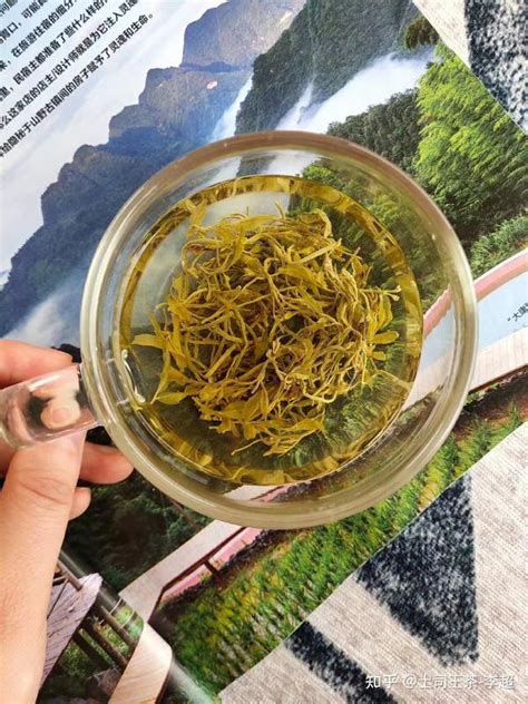 张家界莓茶正品怎么买哪里可以买到正宗的莓茶 知乎