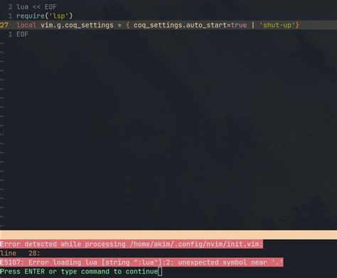 How Do I Set This Variable In Lua Rneovim