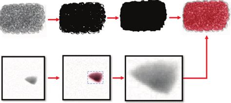 Cut Paste Data Augmentation Process For Packaged Food X Ray Images Download Scientific Diagram