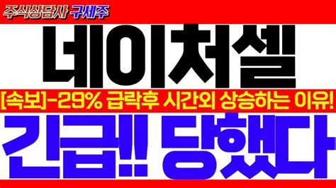 네이처셀 주가전망 Rmat 지정 최종허가 상용화 상관없다 세력들의 개미털기 시간외 주가상승 미친변동성 이후 크게
