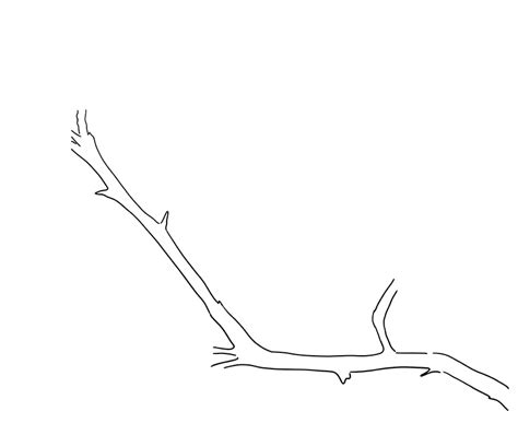 Simple Tree Branch Drawing