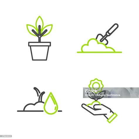 꽃을 들고 손 물뿌리개 정원 흙손 삽 또는 삽 땅과 꽃 냄비 아이콘을 설정합니다 벡터 가루로 빻은에 대한 스톡 벡터 아트 및 기타 이미지 가루로 빻은 꽃 식물 농업