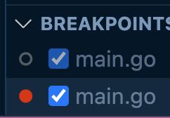 Go Vscode Debug Breakpoint Passed Over Stack Overflow