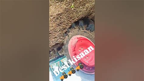 Soyabin Ki Buaai Youtube