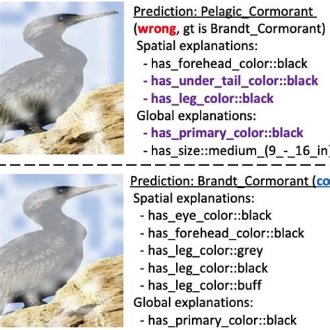 Examples Of Predictions On Mnist Odd Even And Comparison Of Attention