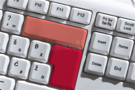 Creating New Programming Guidebook Typing Program Source Codes