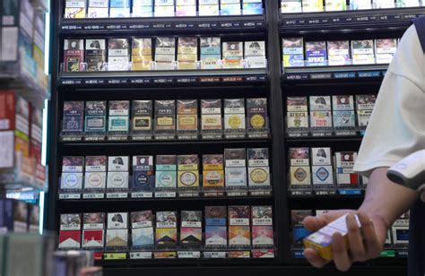 ‘가향담배 금지 4년째 허탕… 청소년 흡연자 80 가 피워