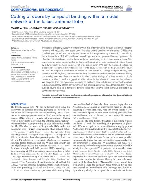 Pdf Coding Of Odors By Temporal Binding Within A Model Network Of The Locust Antennal Lobe