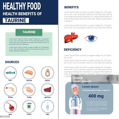 비타민과 미네랄 소스 건강 영양 라이프 스타일 컨셉으로 건강 식품 인포 그래픽 제품 0명에 대한 스톡 벡터 아트 및 기타 이미지 0명 개념 개념 기호 Istock