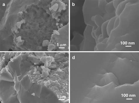 Sem Micrographs At Different Magnifications Of Two Typical Samples In