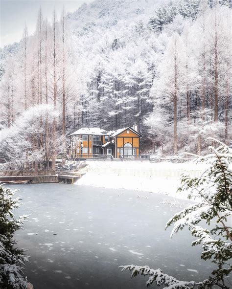 Frozen Pond In The Onbit Natural Recreation Forest Nonsan South Chungcheong Province [1440×