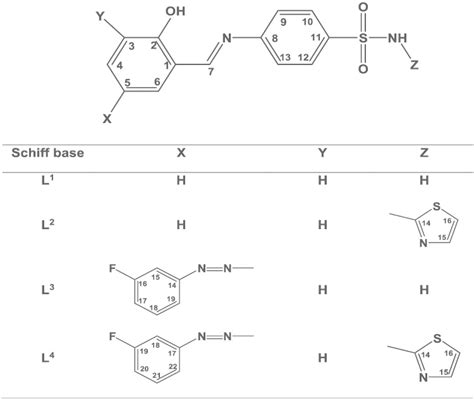 Structures Of Schiff Base Ligands L¹l⁴ Download Scientific Diagram