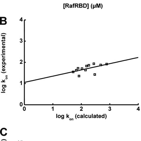 Experimental Rate Constants And Dissociation Constants Of Rafmutants