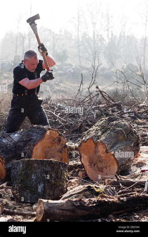 Tree Chopping Hi Res Stock Photography And Images Alamy