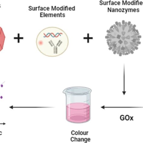 Illustration Of Nanozyme Based Biosensor For Detection Of Glucose Using Download Scientific
