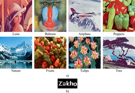 A Tested Host Color Images And B Tested Watermark Image Download Scientific Diagram