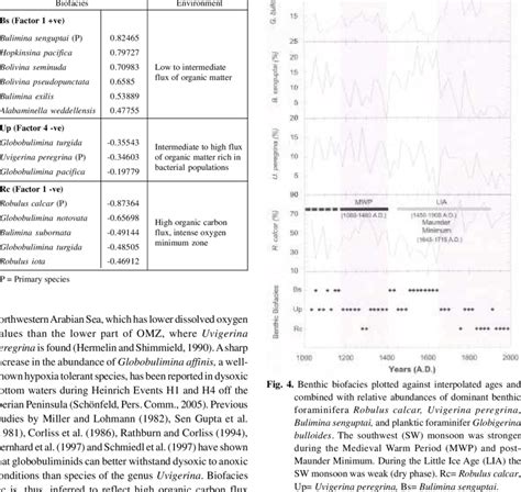 Benthic Foraminiferal Biofacies With Their Characteristic Species And Download Table