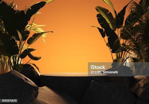 열대 우림의 검은 돌과 바위 전시 제품 또는 진열장을 위한 빈 돌 연단 0명에 대한 스톡 사진 및 기타 이미지 0명 3차원 형태 강단 Istock