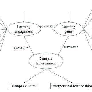 Model Differences Between Undergraduate And Postgraduate Students