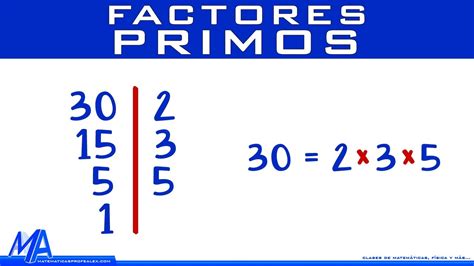 Factores De Números Primos Y Compuestos