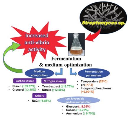 Fermentation And Medium Optimization For The Production Of Anti Vibrio
