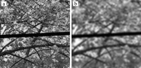 Smoothing Effect A Before Smoothing B After Smoothing Download Scientific Diagram