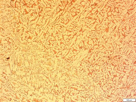 Solved Please Write A Sample Preparation Lab Report For Me