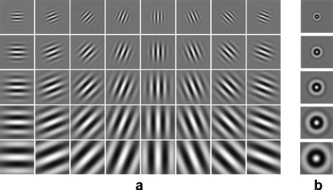 Examples Of Gabor Filters A Gabor Filters With Five Scales And Eight Download Scientific