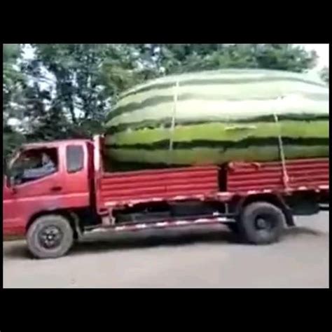 Пин на доске мемы гиф видео в 2024 г Веселые мемы Мемы Христианские мемы