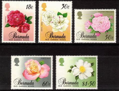 Bermuda 1989 Old Garden Roses Scott 561 65 Sg 584 88 Mnh Caribbean