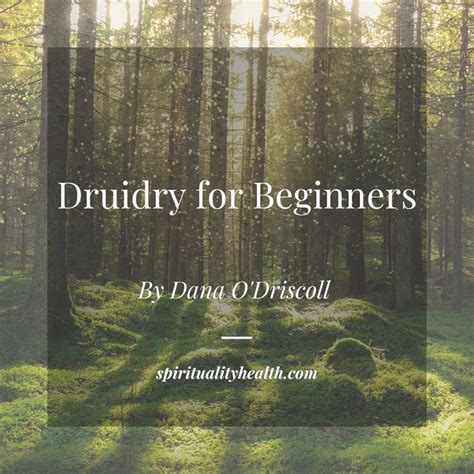 Interested In Modern Druid Practices Druidry Begins With Three Paths