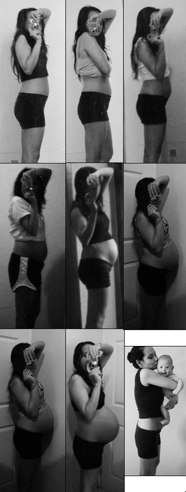Pregnancy Evolution Grossesse Evolution Grossesse Évolution