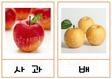 가을 벽면게시자료 가을에 수확하는 열매 네이버 블로그