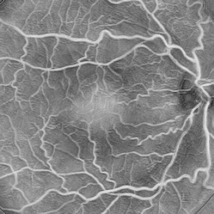 Examples Of Dirichlet Distribution And Corresponding Sample Images Download Scientific Diagram