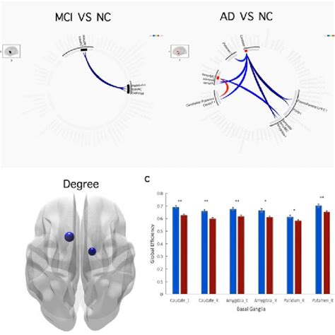A Functional Connectivity With Significant Differences Voxel Level P